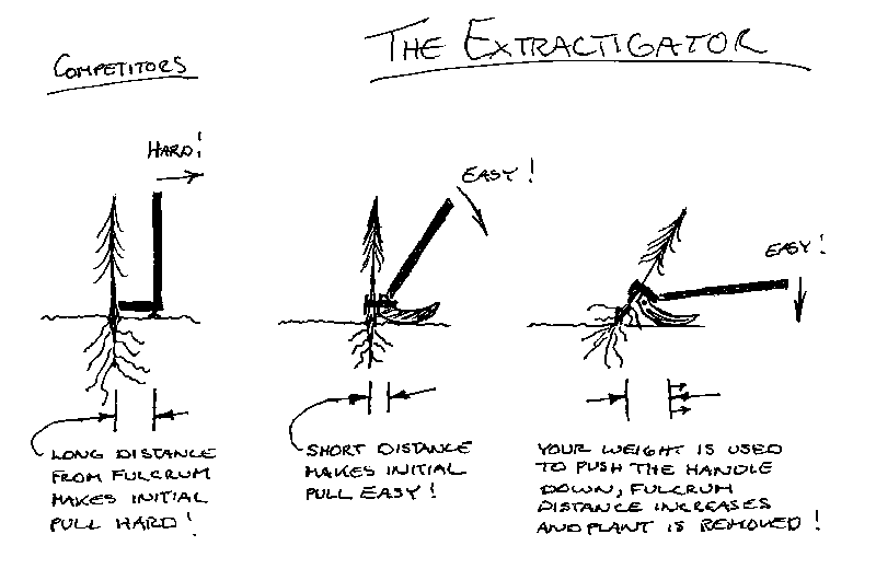 More Detail on the best invasive plant puller!
